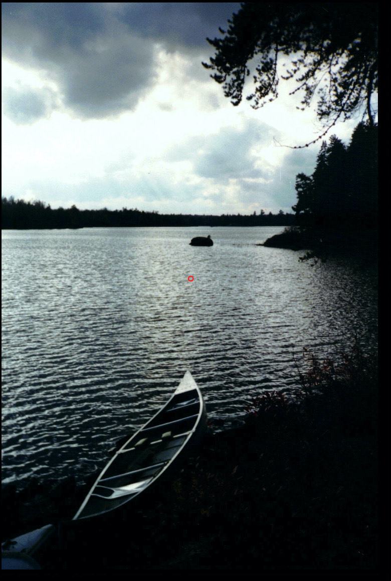 YMCA Camp Menogyn Bold and Gold Program – Chinese Heritage Foundation